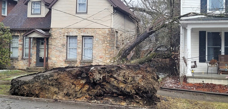 High Wind Damage | News, Sports, Jobs - The Intermountain